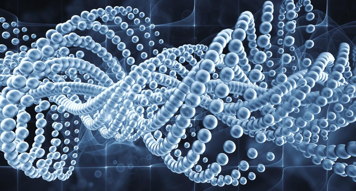 National Laboratory for the Genetics of Israeli Populations | Faculty ...