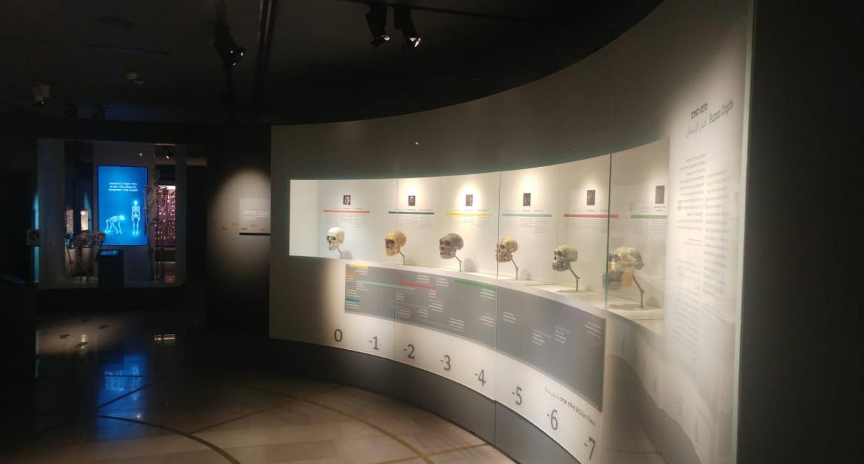 What Makes Us Human? Exhibition at the Steinhardt Museum | Dan David ...