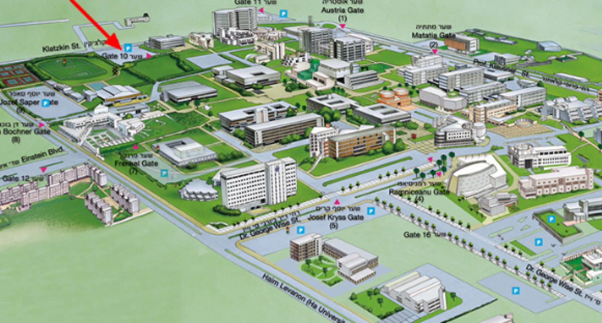 Shifting Gate no. 10 | Faculty of Medicine | Tel Aviv University